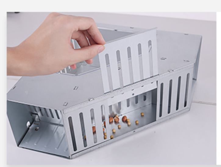 Mice Traps. Club Australia – MiceTraps Australia