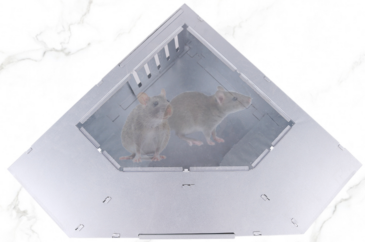 Triangle Mice Sliver Traps – MiceTraps Australia
